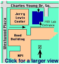 Patient/Subject Information